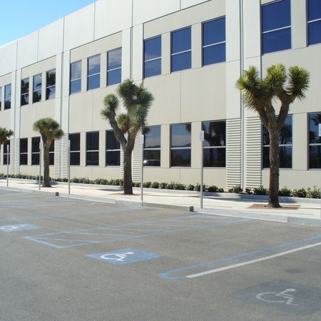 Expert Tree Relocation Service in California | Any Palm or Tree