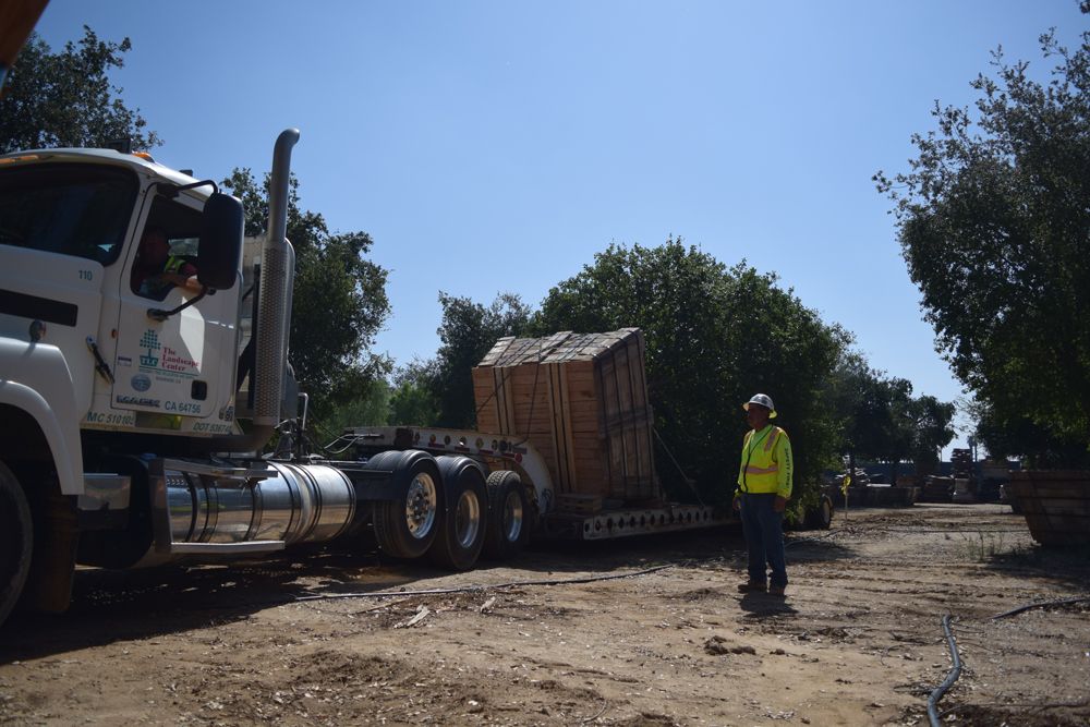 Expert Tree Relocation Service in California | Any Palm or Tree