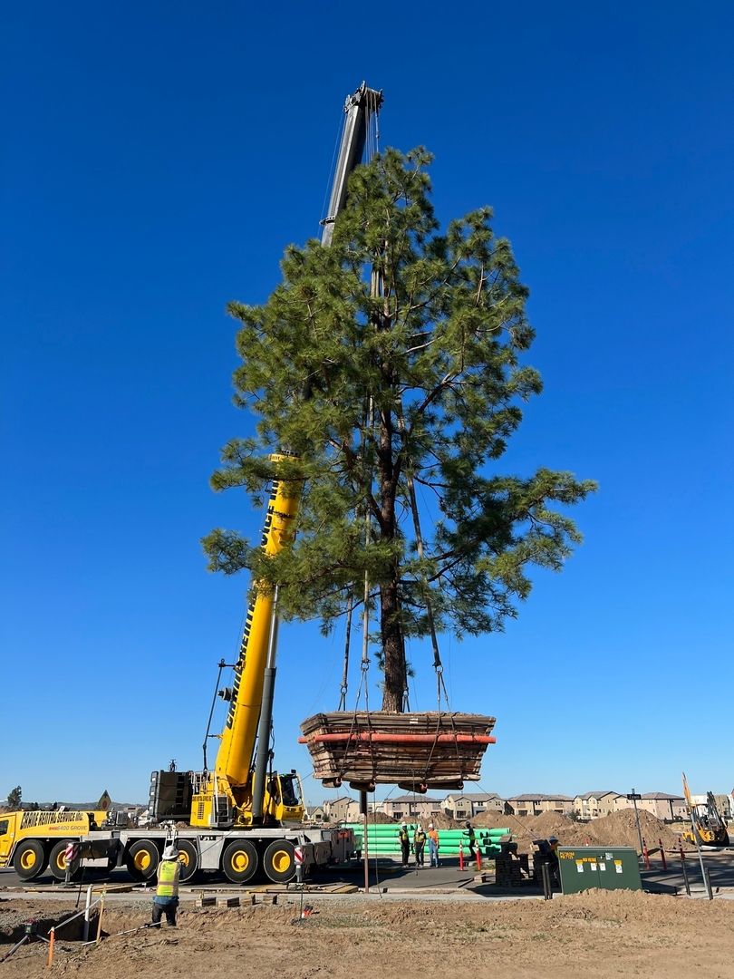 The Landscape Center’s relocation and preservation division