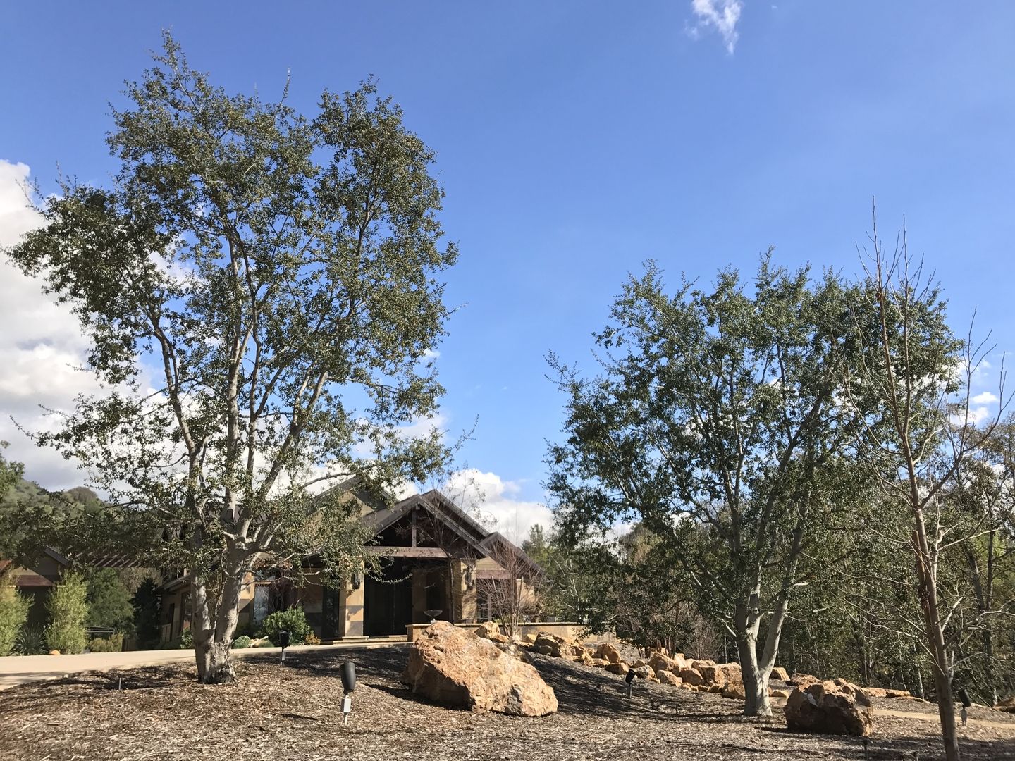 Tree Installation, Relocation & Preservation In California