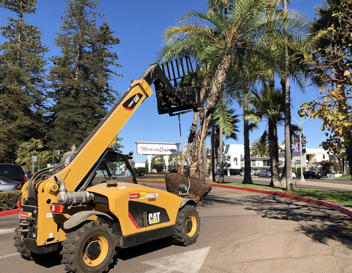 Tree Installation, Relocation & Preservation In California